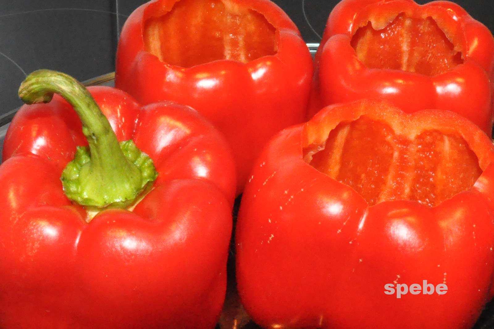 Gefüllte Paprika (einfach) – spebe